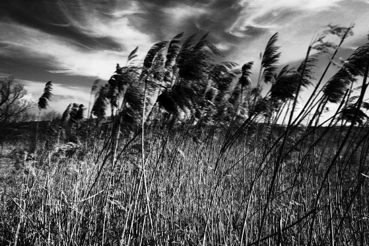 The Howling Wind - my point of view - Photography, Landscapes & Nature ...