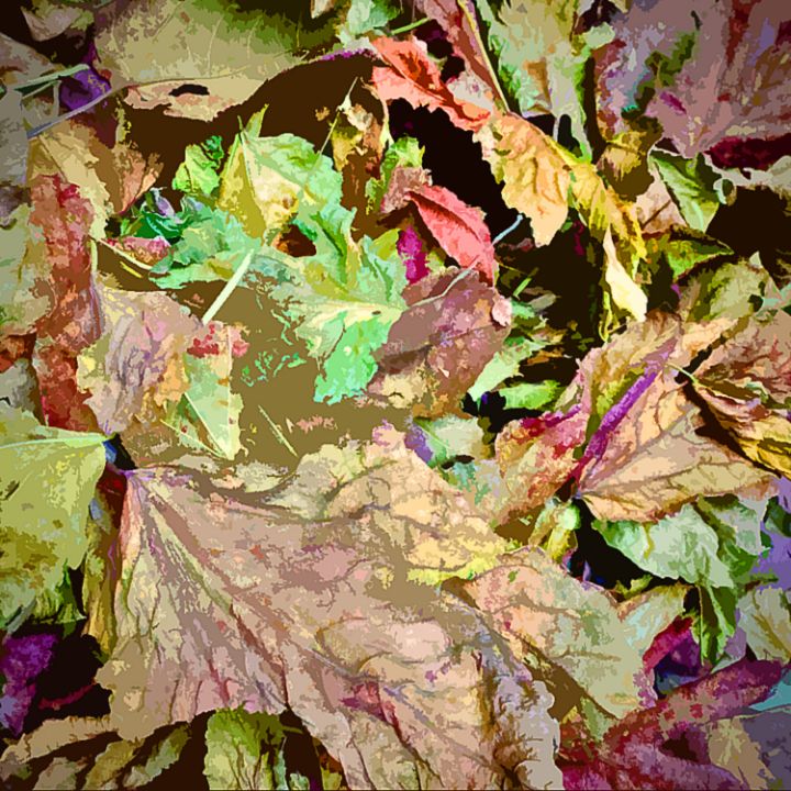 Daniel Nie - Paintings & Prints, Drawings & Illustration, Photography