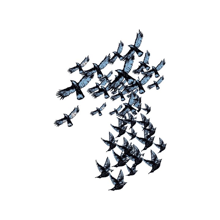 A murmuration of starlings - Nelhartworks - Drawings & Illustration ...
