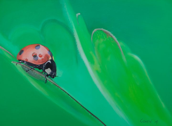 Lady Bug Original Oil Painting - Realistic Animal Art - Paintings ...