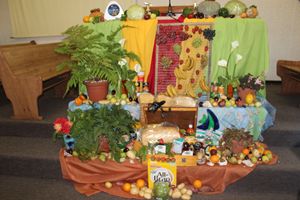 madi's photos - Photography