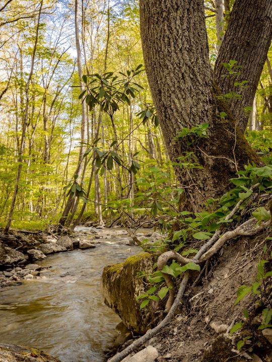 Blue Hole Creek - Holly April Harris Fine Art and Imagery - Photography ...
