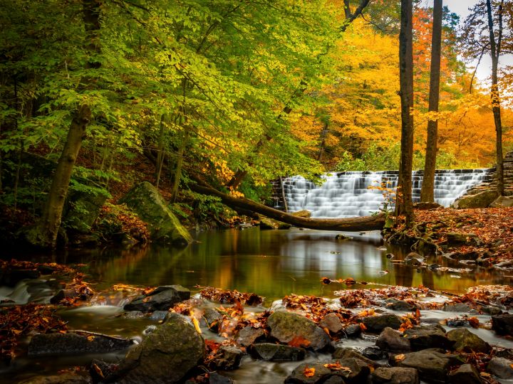 Jones Mill Run Dam - Holly April Harris Fine Art and Imagery ...