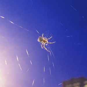 Anytime-photos - Photography