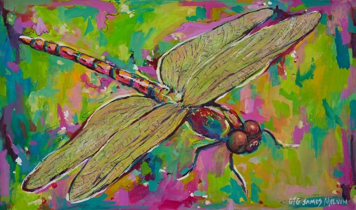 Dragonfly (odonata) - Melvin's Studio - Paintings & Prints, Animals ...
