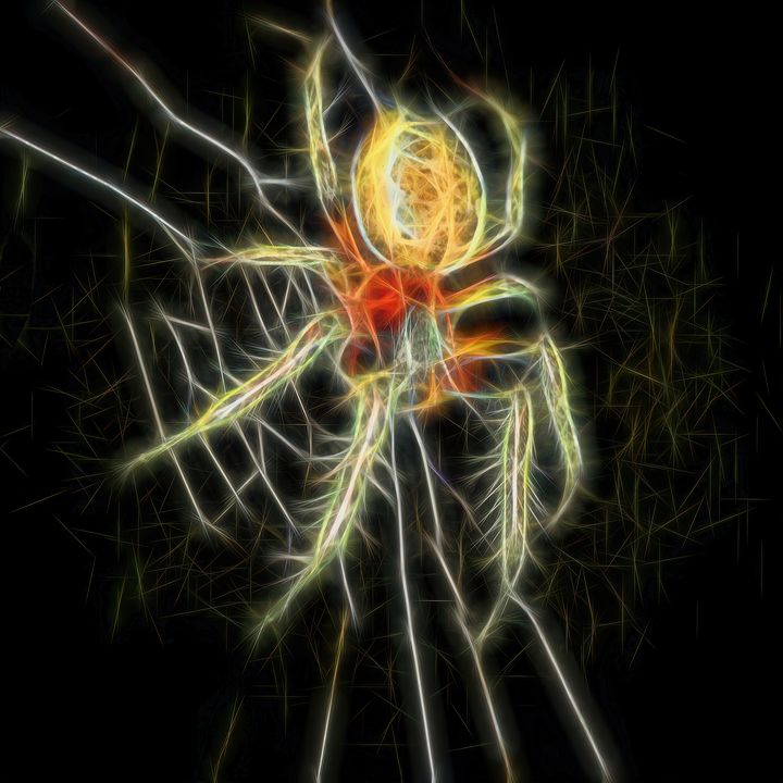 electrified real orb-weaver spider - nature. electrified. - Digital Art ...