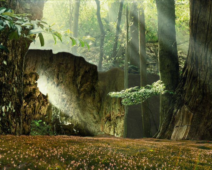 Deep forest sunlight - Darvin Cruz - Digital Art & AI, Landscapes ...