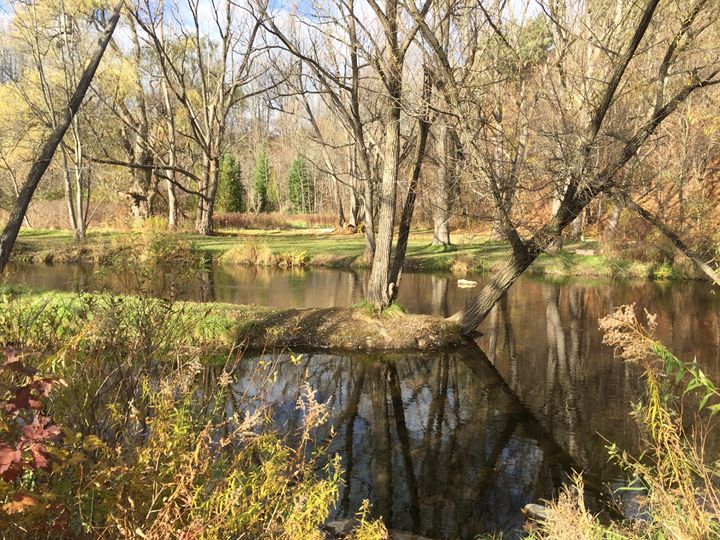 LOWVILLE PARK - David Montgomery - Photography, Landscapes & Nature ...