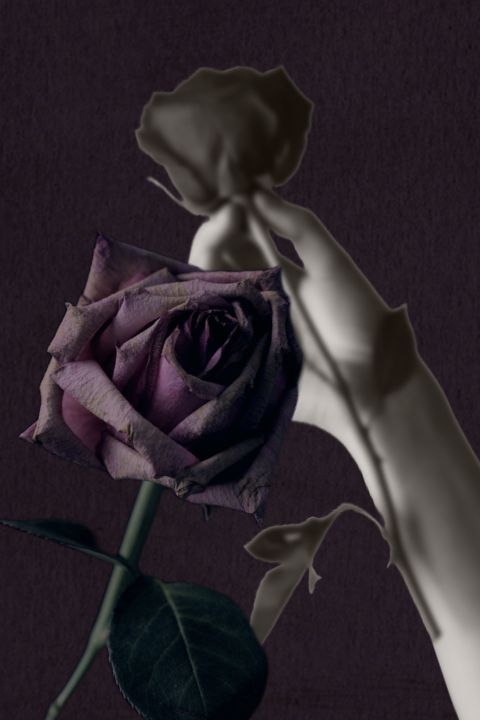 Ghost of a Rose - My Brain Unleashed - Digital Art, Flowers, Plants ...
