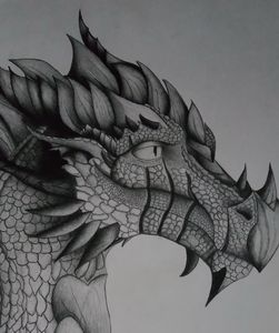 jamuna - Drawings & Illustration