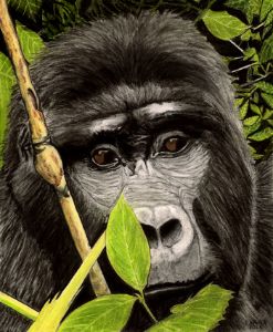 Steve Walker Art - Paintings & Prints, Drawings & Illustration