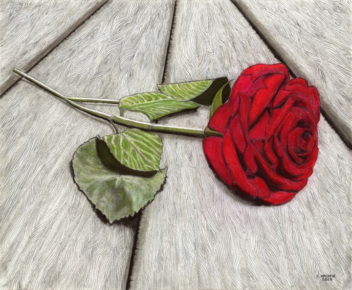Red Rose - Steve Walker Art - Paintings & Prints, Flowers, Plants ...