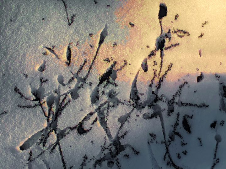 Evolution: Rise Up! - Christopher of the Wolves - Paintings & Prints ...