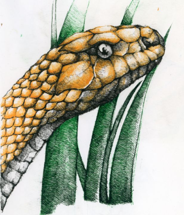 Silent, slithering wisdom. - Inkspresso - Drawings & Illustration ...
