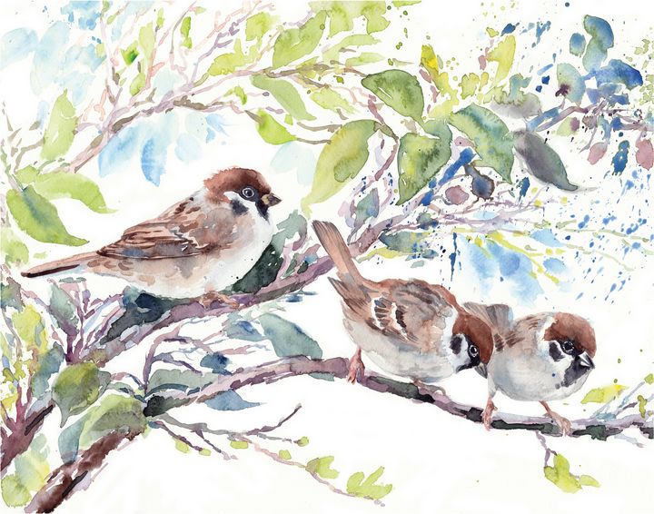 Morning sparrows on spring branches - Unicornarte - Paintings & Prints ...