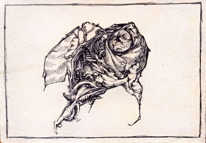 "Fliege" auf DIN A3 - Jasir - Drawings & Illustration, Abstract ...