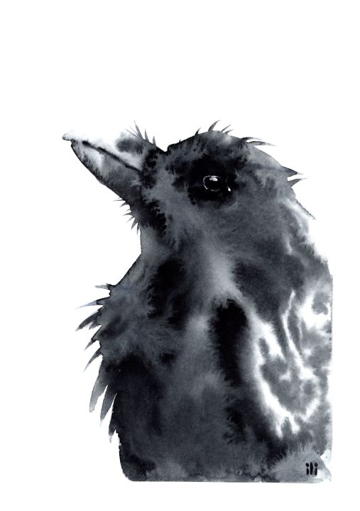 Watercolour Crow Painting Print - Ilona Creates - Paintings & Prints ...
