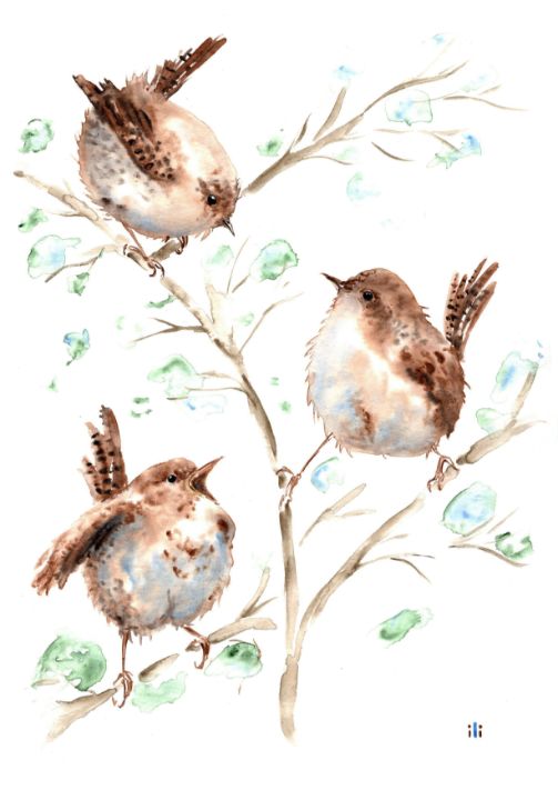 Watercolour Wren Birds Print - Ilona Creates - Paintings & Prints ...