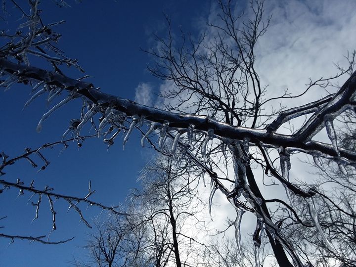 none - Photography, Drawings & Illustration