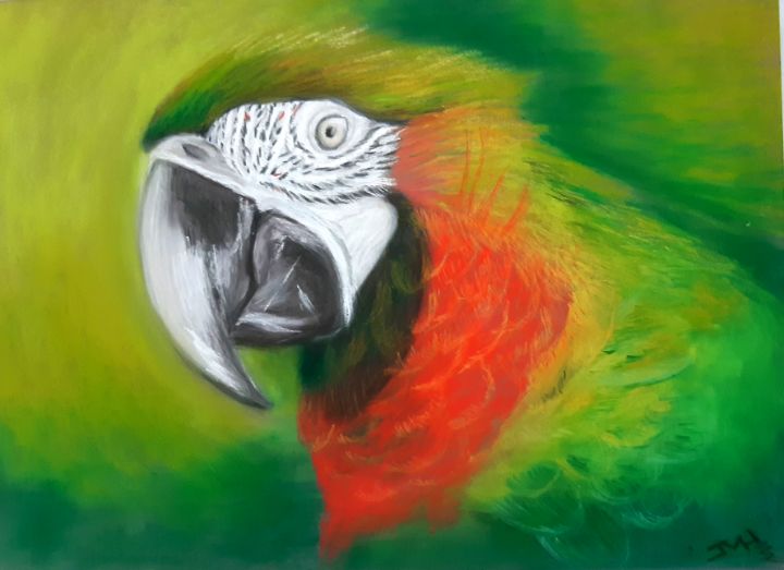 Johnny the colourful macaw - Art by Jane Hicks - Paintings & Prints ...