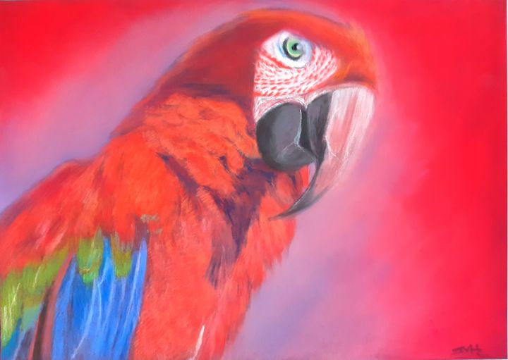 Toyah the colourful macaw - Art by Jane Hicks - Paintings & Prints ...