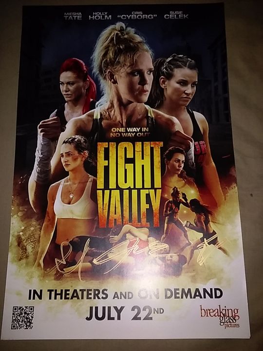 Fight Valley 2016 Movie Poster - First Take - Paintings & Prints ...