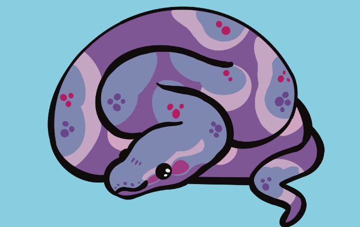 Boop Snoot - One of a Kind Designs - Drawings & Illustration, Animals ...