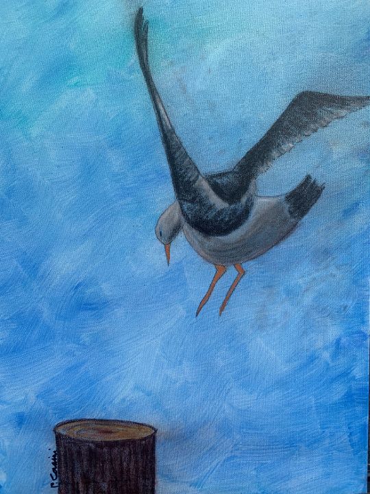 Seagull - Casini Gallery - Paintings & Prints, Animals, Birds, & Fish ...