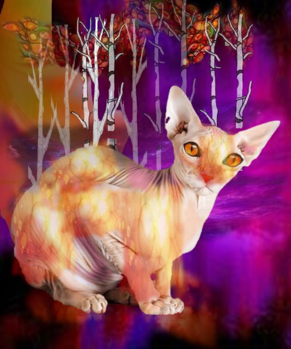 Orange Eyed Cat - Trish Brown - Digital Art & AI, Animals, Birds ...