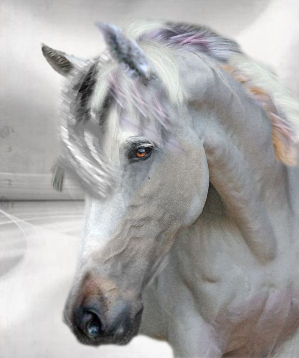 White Stallion - Trish Brown - Digital Art & AI, Animals, Birds, & Fish ...