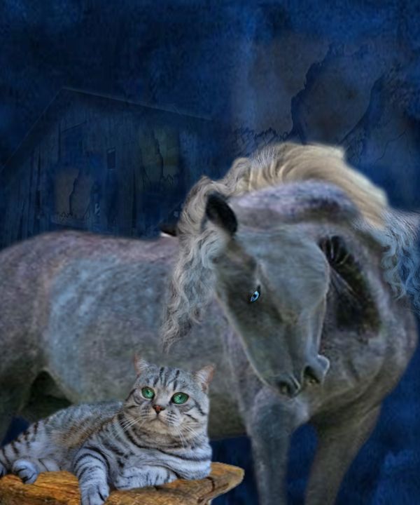 Gray Stallion and Friend - Trish Brown - Digital Art & AI, Animals ...