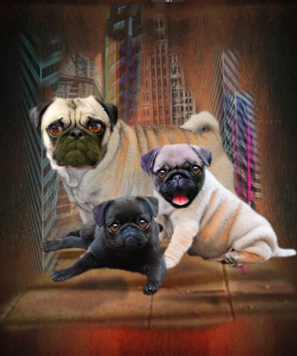 City Pugs - Trish Brown - Digital Art & AI, Animals, Birds, & Fish ...