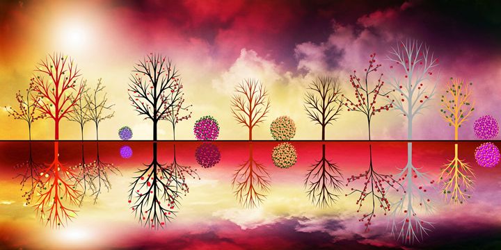 Reflections - Peggy Garr - Digital Art & AI, Flowers, Plants, & Trees ...