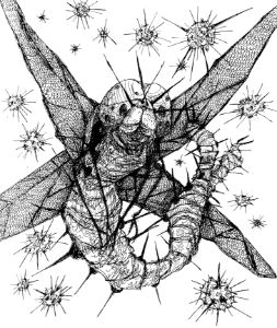 astrid ztar - Drawings & Illustration, Paintings & Prints