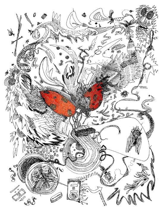 ladybug - astrid ztar - Drawings & Illustration, Abstract, Other ...