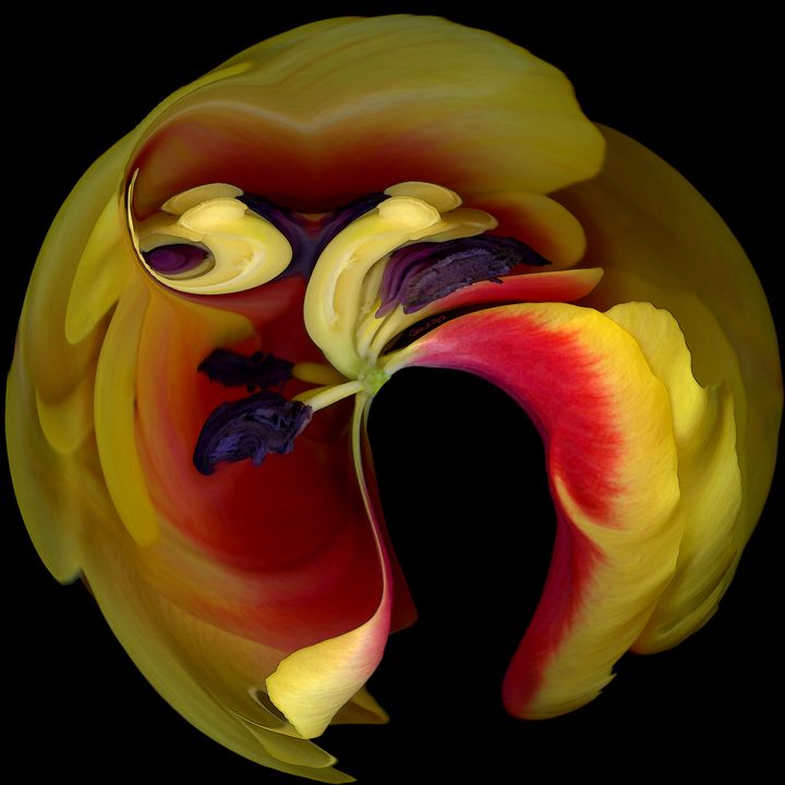 Morphing Tulip - CMS ART - Digital Art & AI, Flowers, Plants, & Trees ...