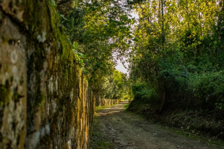 A path through the countryside - Andréa Raborg - Photography ...