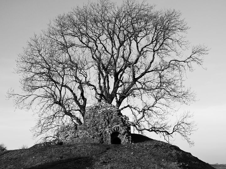 Dryslwyn Castle - Anna Cartwright Photography - Photography, Buildings ...