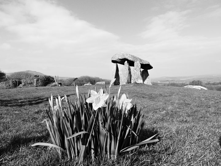 Anna Cartwright Photography - Photography