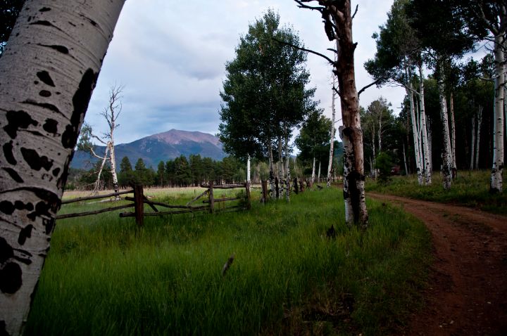 My Heart at 8,000 feet - ArtFromTheHeartByMaryLue - Photography ...