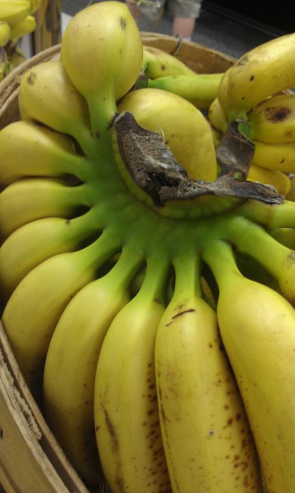 Bananas - ArtFromTheHeartByMaryLue - Photography, Still Life, Food ...