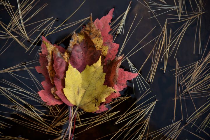 Benjamin E. Howen III - Digital Art & AI, Paintings & Prints ...