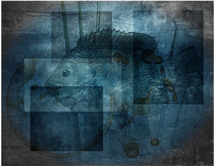 BLUE-PANFISH - Benjamin E. Howen III - Digital Art & AI, Animals, Birds ...