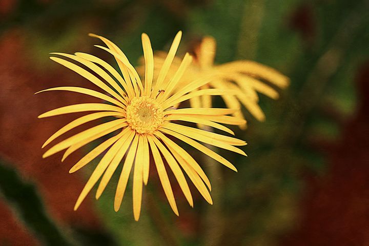 Spring - Phoenix Art Works - Digital Art & AI, Flowers, Plants, & Trees ...