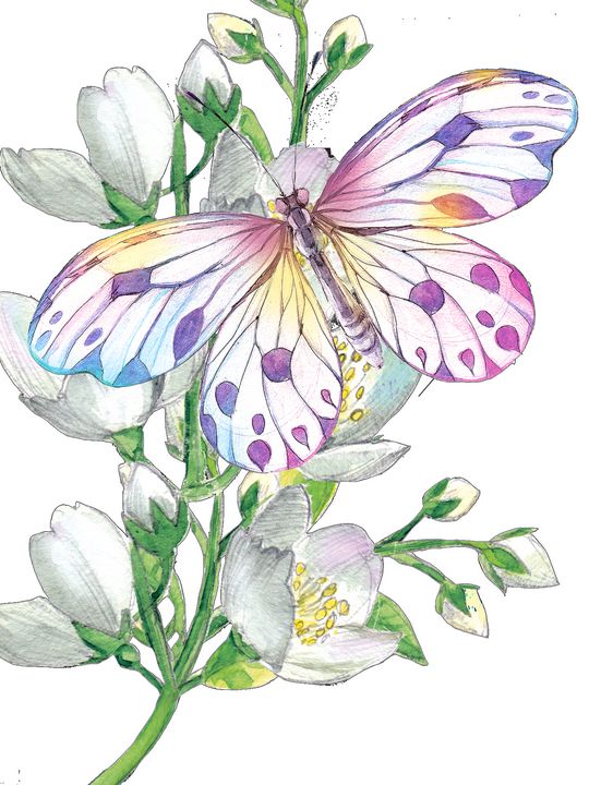Jasmine and a butterfly - Phoenix Art Works - Digital Art & AI, Flowers ...