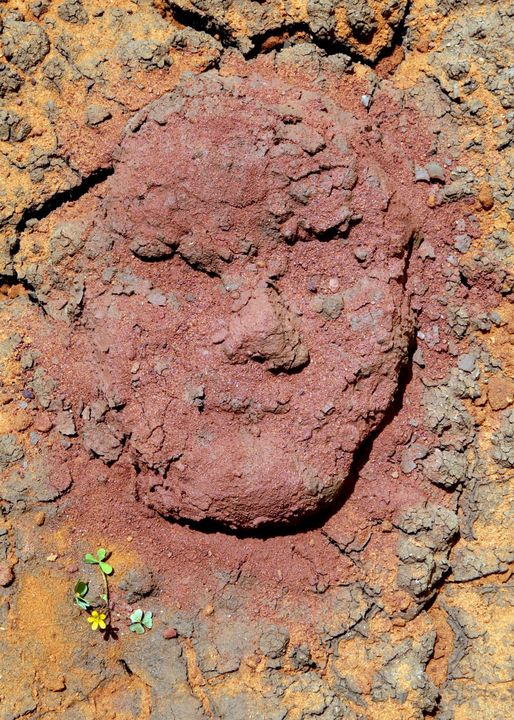 COVID19 May by Alon Talmi - Exhibizone - Photography, Still Life, Other ...