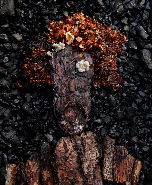 Wildfire by Alon Talmi - Exhibizone - Photography, Still Life, Other ...