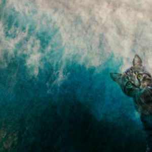 Cat watching sunset - Japanese style - Off the Page - Digital Art ...