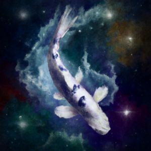 Koi fish - Swimming in starry galaxy - Off the Page - Digital Art & AI ...