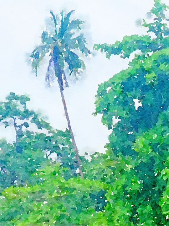 Costa Rica beach scene -Art code WP2 - Peter Wright Art - Paintings ...